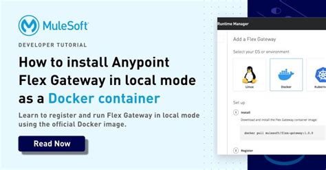 Mulesoft Community On Linkedin How To Install Anypoint Flex Gateway In