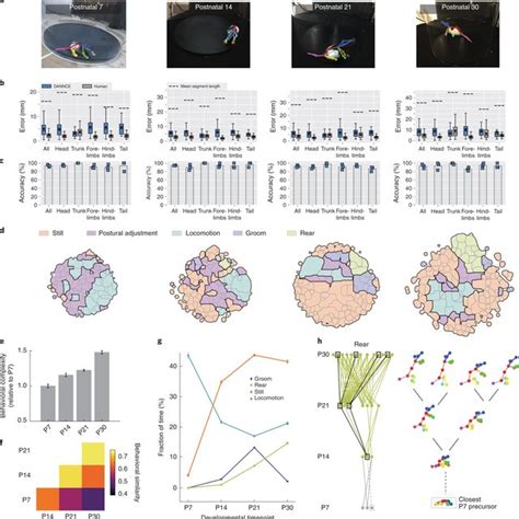 Fully 3d Deep Learning Versus 2d To 3d Triangulation For Naturalistic Download Scientific