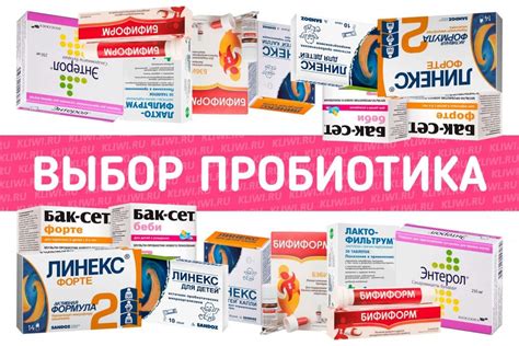 Как выбрать пробиотик: сравнение, виды, действие
