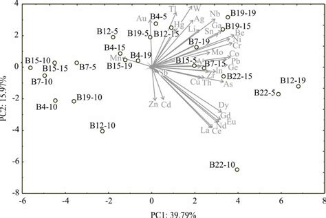 Pca Graph Of The Variables Based On Component Correlations Download Scientific Diagram