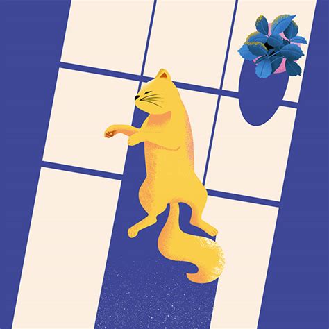 Do Not Touch My Belly On Behance