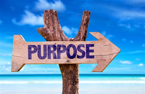 Purpose Wooden Sign With Beach Background Blik Opener