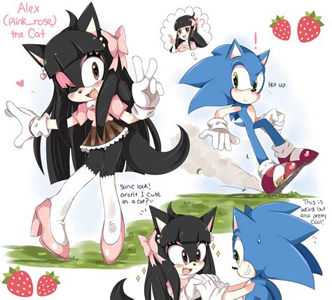 Sonic Characters As Cats