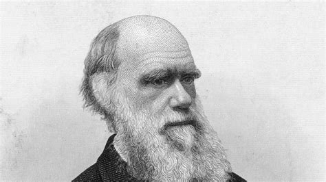 34 Facts About Social Darwinism