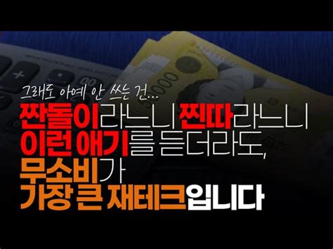시청자댓글 짠돌이라느니 찐따라느니 깍쟁이라느니 청승맞다느니 이런애기를 듣는 한이 있더라도 무소비가 가장 큰 재테크입니다