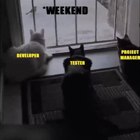 Talha Farooq On Linkedin Errors Bugs Management Testing Programming Developers