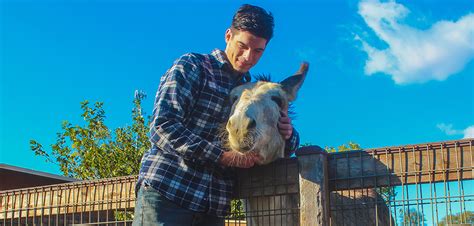 Denton Nonprofit To Open Bobs House Of Hope A Safe House For Young