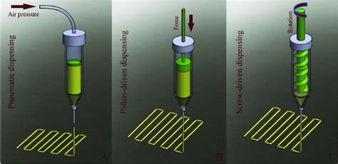 3d Bioprinting Process Types And Applications My Biology Dictionary