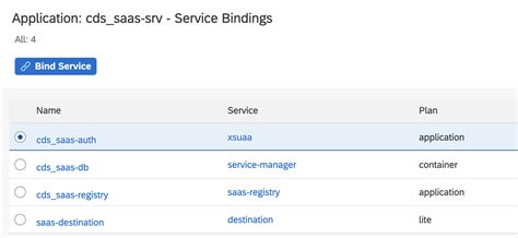 Consuming A Multi Tenant Capm Api From Another M Sap Community