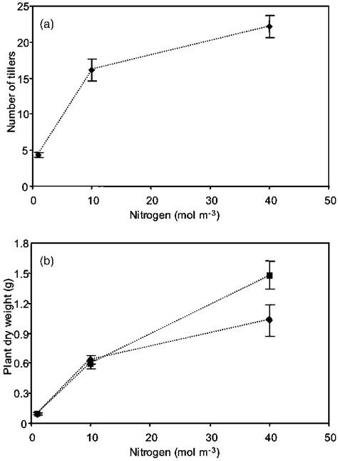 Growth A Shows The Effect Of Nitrogen Fertilization On Tiller Number