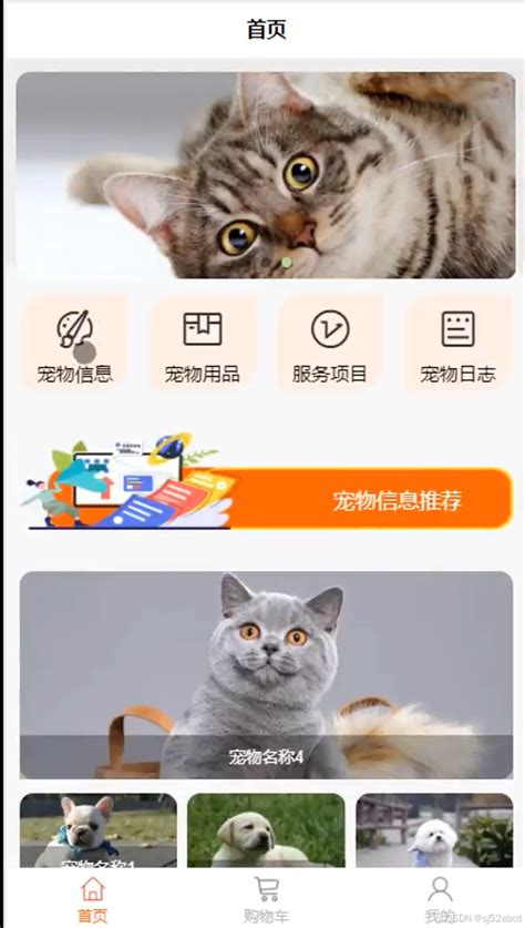 宠物用品商城服务小程序毕业设计基于宠物商城小程序论文本章小结 Csdn博客
