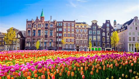 Amsterdam Facts Interesting Things About The Netherlands Capital