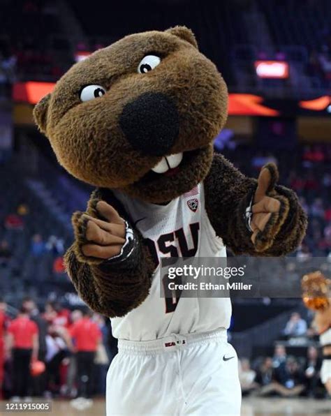 Benny Beaver Photos And Premium High Res Pictures Getty Images