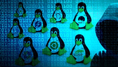 DoS Vulnerabilities Found In Linux Kernel Unpatched