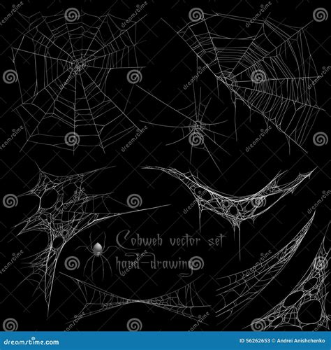 Cobweb Vector Illustration 23795212