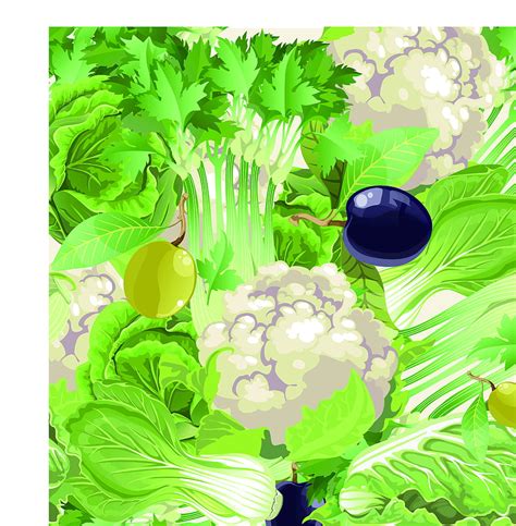 야채 믹스 벡터 배경 일러스트 레이 션 Uidownload