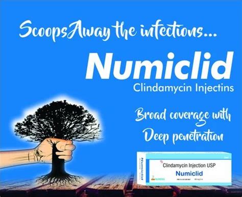 Clindamycin Injection Manufacturers And Suppliers In India