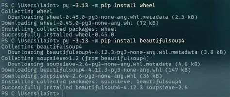 Pythonでpip Install時にエラー「getting Requirements To Build Wheel Did Not Run