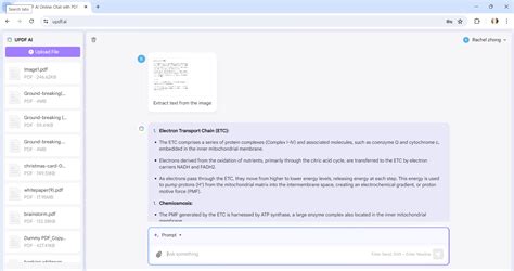 Your Ultimate Guide On How To Extract Text From Images UPDF