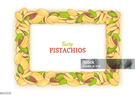 수직 수평 색된 프레임 구성 피스타치오 견과의 맛 있는 벡터 카드 그림입니다 양 견과 프레임 호두 껍질에서 과일 식품의 포장