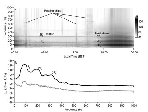 A A 24 Hr Spectrogram From 7 April On Fl N The Black Drum And