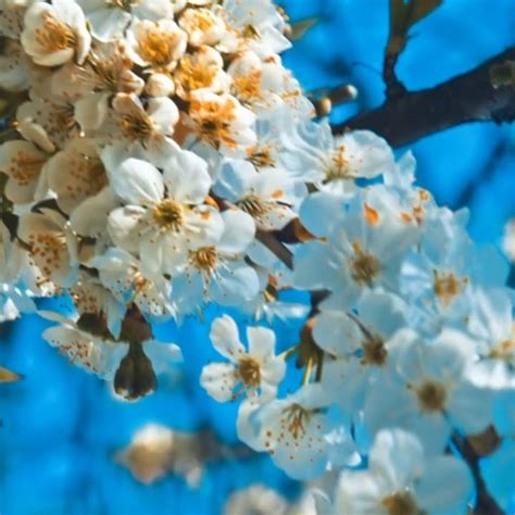 Vineet Kumar Pathak Youtube