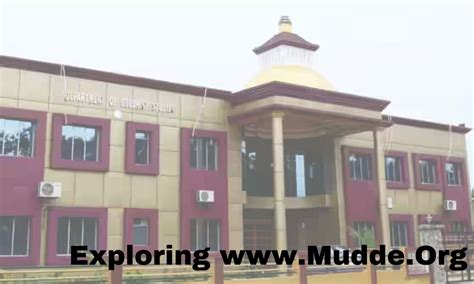 Exploring Muddeorg Your Path To Success