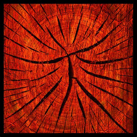 Sculpting Electric Foldings Thomas Dimuzio