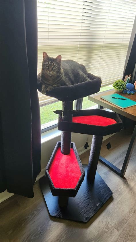 Gothic Style Cat Tree Happy And Polly