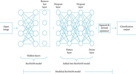 Modified Resnet50 Model For Brain Tumor Detection Download Scientific Diagram