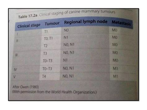 Tumors Of The Female Genital Tract Ppt