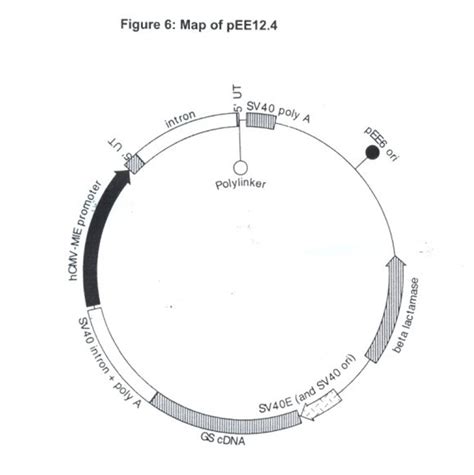 Pee124 Eallbio亿奥邦 专注科研试剂研发生产