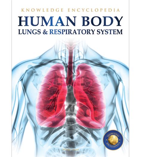 Human Body Lungs And Respiratory System Knowledge Encyclopedia For