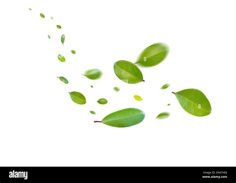 Green Floating Leaves Flying Leaves Green Leaf Dancing Air Purifier