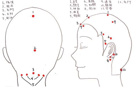 頭のツボのマッサージ法をヘッドスパ人気店が教えます！ Hair Make And Spa Tento
