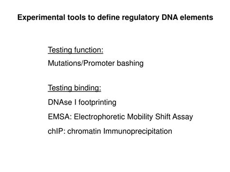 Ppt Dna Binding Domains Structural Considerations Of The Dna Double Helix Powerpoint