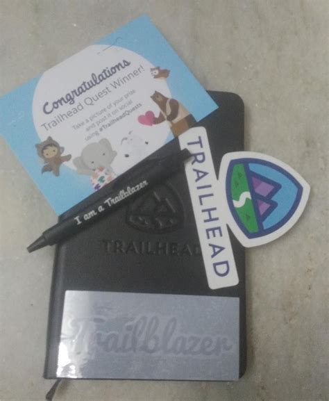 Ritik Maheshwari On Linkedin Trailheadquests Salesforce