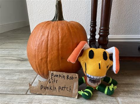 Made This Little Display For The Pumpkin Rabbit In My Halloween