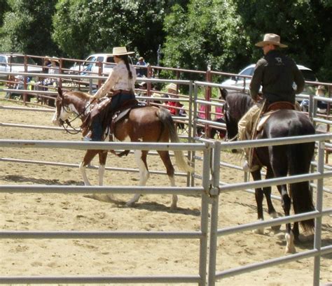 Herd Reduction Personal Matters Have Forced Us To Reduce Our Herd All