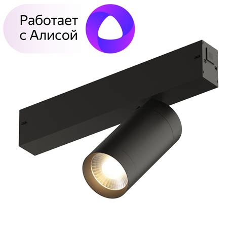 Трековый светильник Denkirs DK8010-BK - купить в Москве по выгодной ...