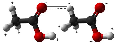 Acetic Acid Intermolecular Forces