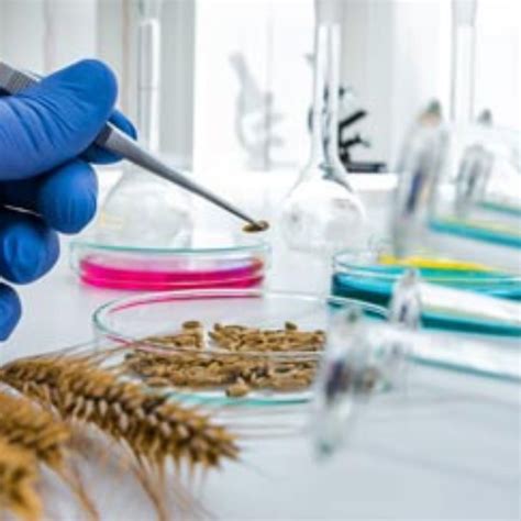 వ ఎస ఆర రత భరస