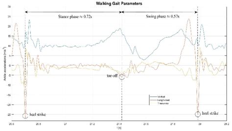 Walking Gait Parameters Estimation From The Accelerometers Data Download Scientific Diagram