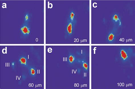 Laue Diffraction 022 Peak Shape Snapshot Along The Vertical Brown Arrow Download Scientific