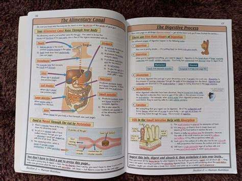 Edexcel Certificate International Igcse Biology Revision Guide Summary