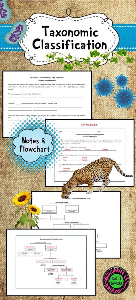 Classification And Taxonomy Worksheet