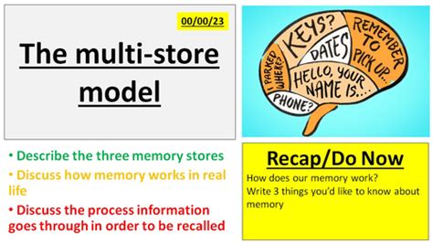 The Multi Store Model Aqa A Level Psychology Memory Teaching