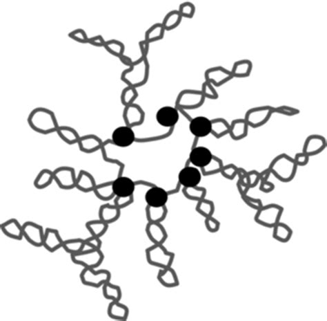 Bi1014 Biological Chemistry Genomes And Chromosomes Flashcards Quizlet