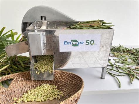 Debulhadora De Feijão Verde Portal Embrapa