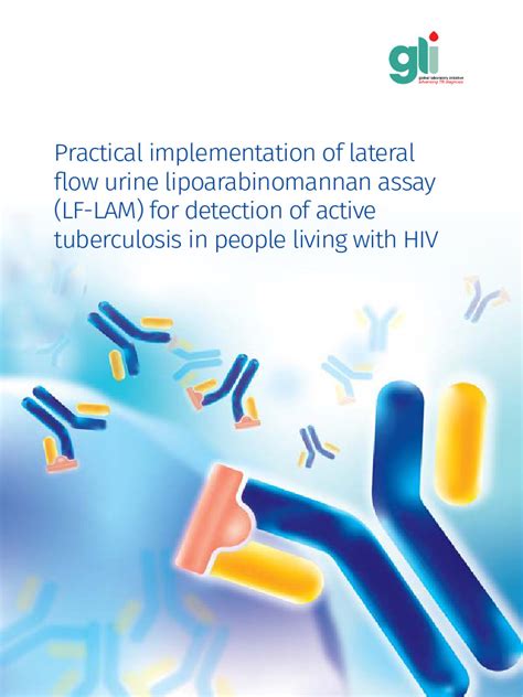Practical Implementation Lf Lam Pdf